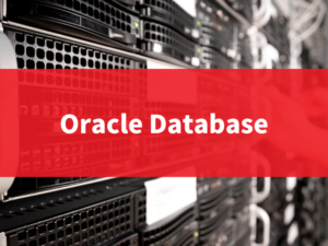 Oracle IMPDP 本番スキーマのデータをRemapしてテストスキーマにインポートさせるコマンド | SIエンジニアのメモ帳